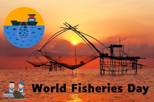 World Fisheries Day: Why It Matters to Our Oceans and Rivers